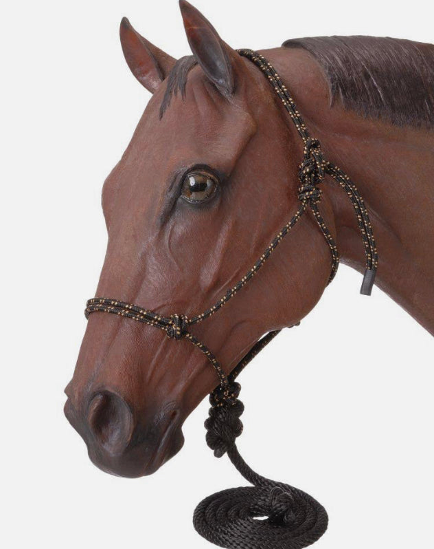 Tan/Black Rope Halter – Summerdale Western Store